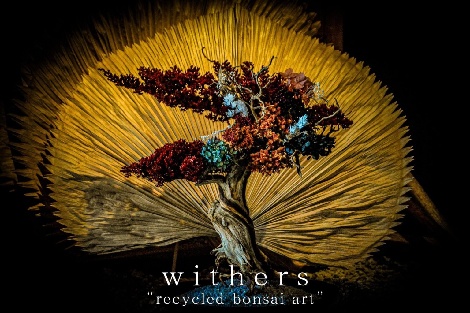 COMPANY – 再生盆栽アートの通販|WITHERS BONSAI